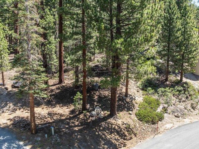 198 Grindelwald Rd, Mammoth Lakes, CA 93546
