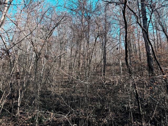 198 Dan Dishman Road
