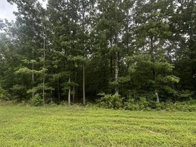198 Kyuga Dr, South Pittsburg, TN 37380