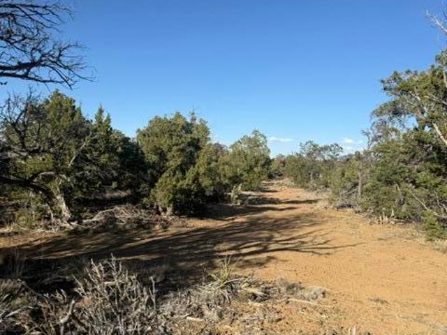 198 Jubilee Trail