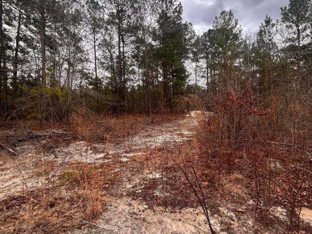 198 Old County Line Rd, Cameron, NC 28326 | MLS #10147