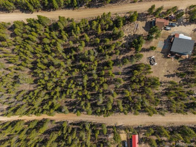 198 Lodgepole Drive