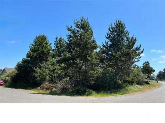 198 N RAZOR CLAM DR SW, OCEAN SHORES, WA 98569 Vacant Land For.
