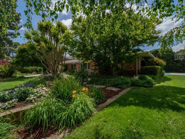 198 Pine Lane