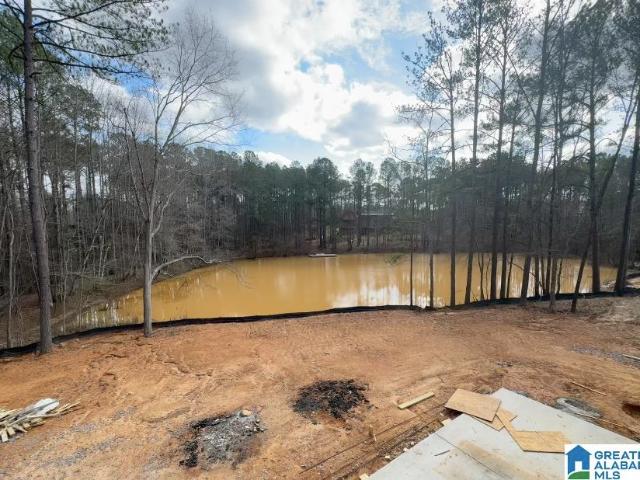 198 River Birch Road