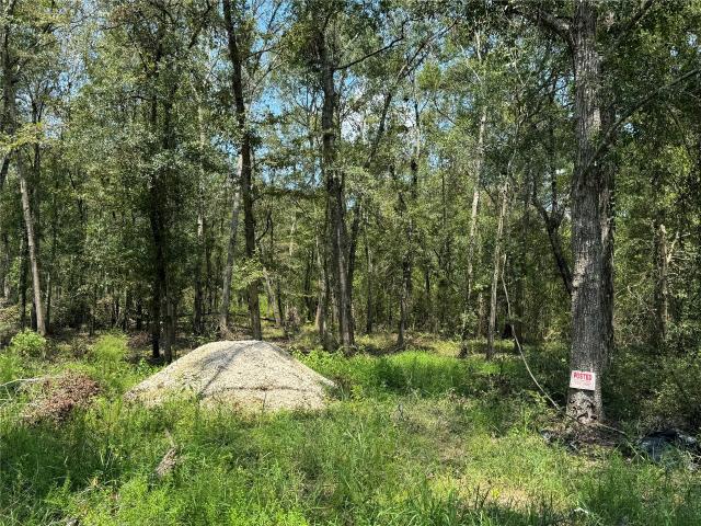 19959 Old Highway 105 E, Cleveland, TX 77328 | MLS #57012