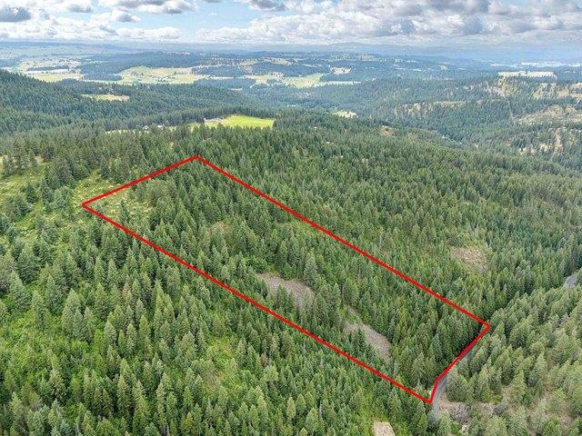 19960 19 N Mt Spokane Park Dr, Mead, WA 99021