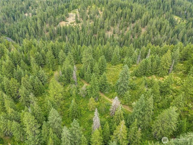 19960 N Mt Spokane Park Dr