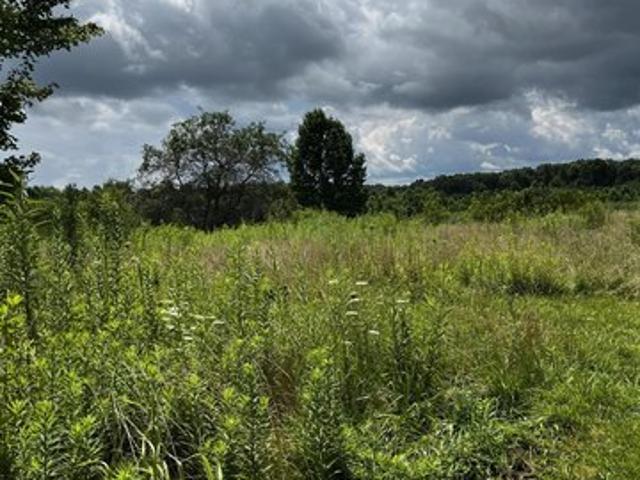 1998 Minor Rd, West Liberty, KY 41472