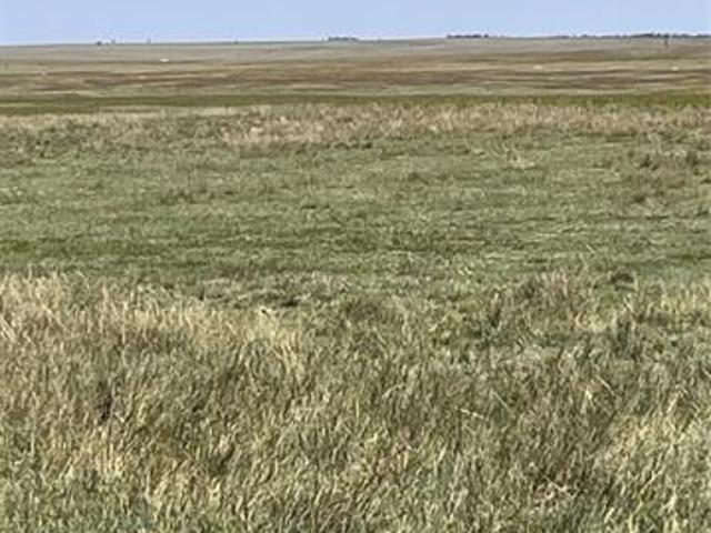 1999 Sengbeil Rd, Yoder, CO 80864 | MLS #8136