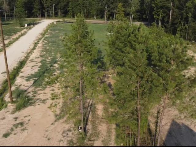 19903 La Hwy, Livingston, LA 70754 | MLS #BR2024013 | Compass