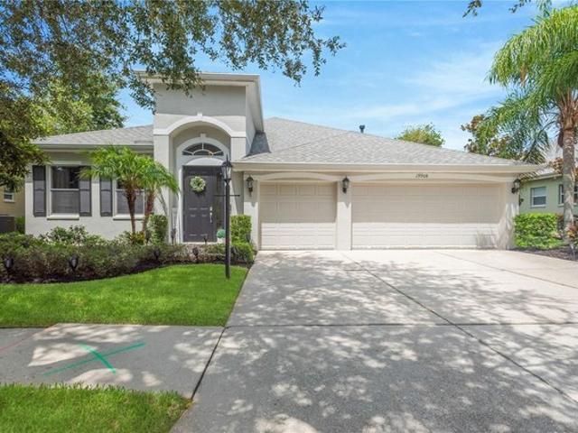 19908 Bluff Oak Blvd, Tampa, FL 33647