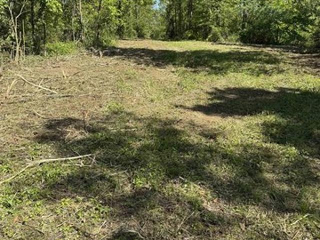 1990 Highway 556, Sandy Hook, KY 41171