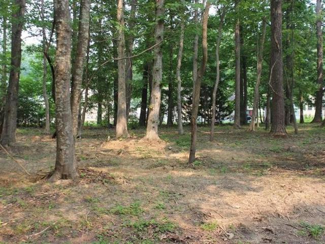 1991 Mayflower Dr Lot 1991, Greenbackville, VA 23356