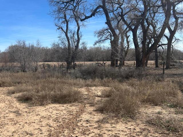 1991 Brown Road SW