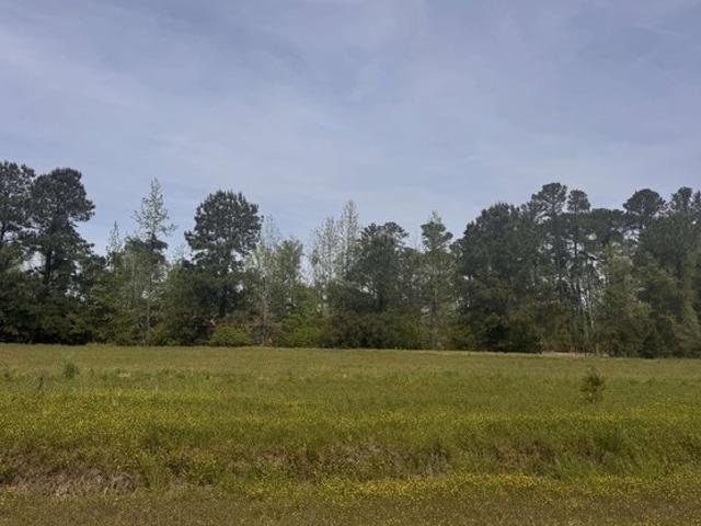 1991 Church Rd, Green Sea, SC 29545