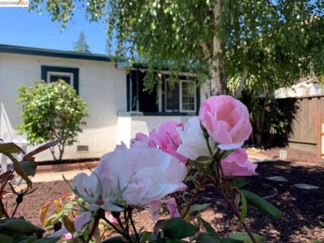 19923 Wisteria St, Castro Valley, CA 94546