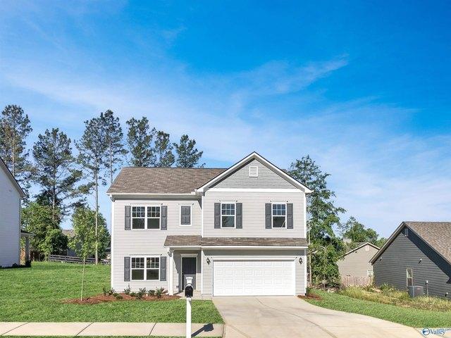 19933 Wicklow Cir, Athens, AL 35613