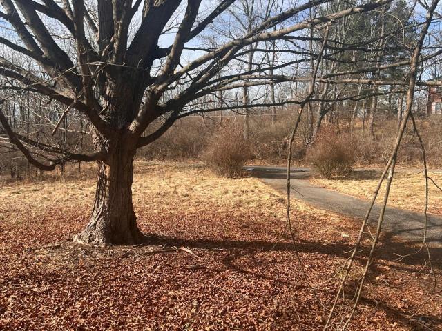 199 Highland Road