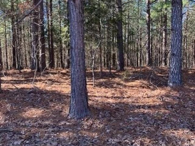 199 Madison County Road 410, Fredericktown, MO 63645