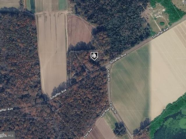 199 Schaffer Ave, Cedarville, NJ 08311