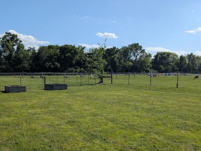 199 Walnut Grove Rd