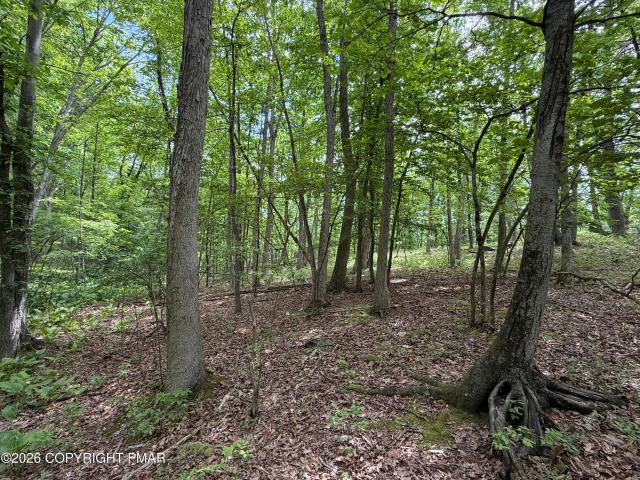 199 Upper Lakeview Dr Drive