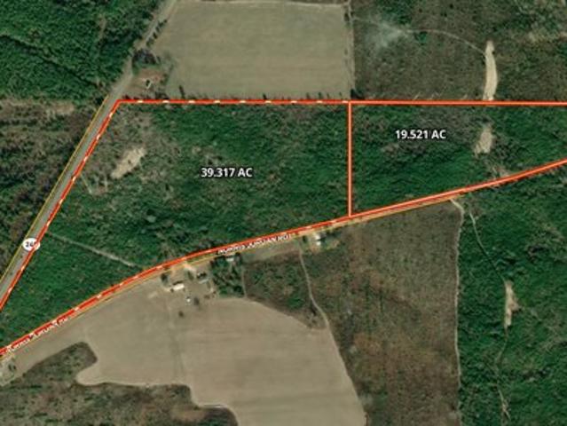 19.521 Ac Herman Bell Rd, Mauk, GA 31058