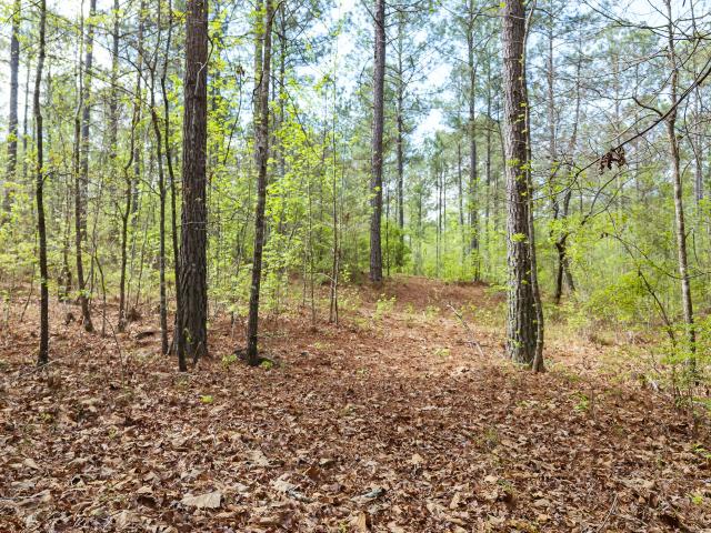 19.74 acres Davis Lake Rd, Pine Mountain, GA 31822 | MLS #10727 | Compass