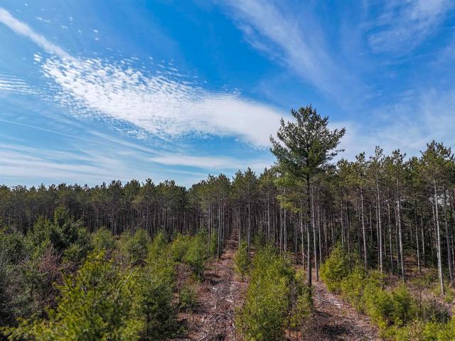19.81 acres 6th Ave, Grand Marsh, WI 53936 | MLS #2016 | Compass