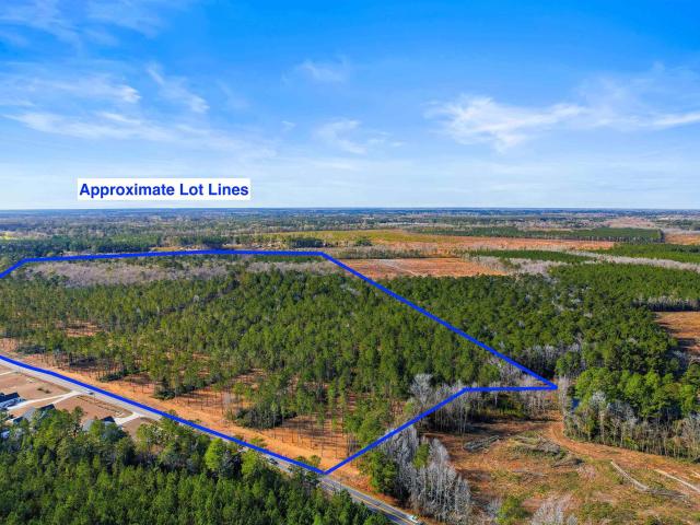 19.09 acs Cates Bay Hwy, Conway, SC 29527 | MLS #2500