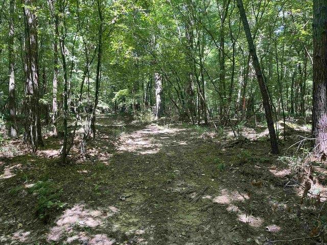 19 15s 7w, Fountain Hill, AR 71642