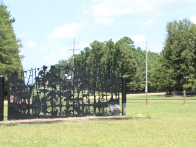 19 20 N Eagle Brook Dr, Lewisville, AR 71845