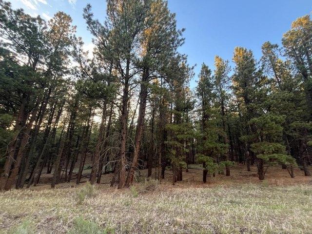 19 Valley Rd, Angel Fire, NM 87710
