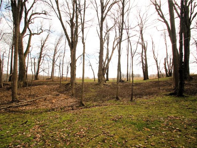19 Wandering Trail