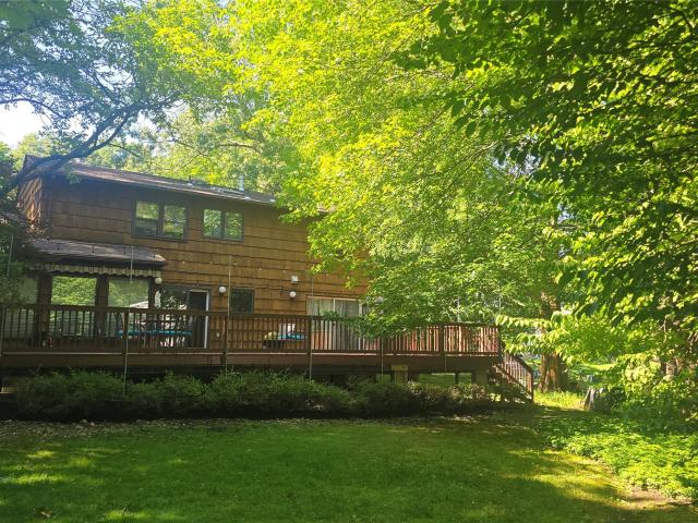19 York Drive
