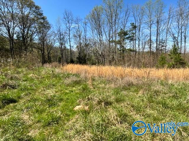 19 acres County Road 148