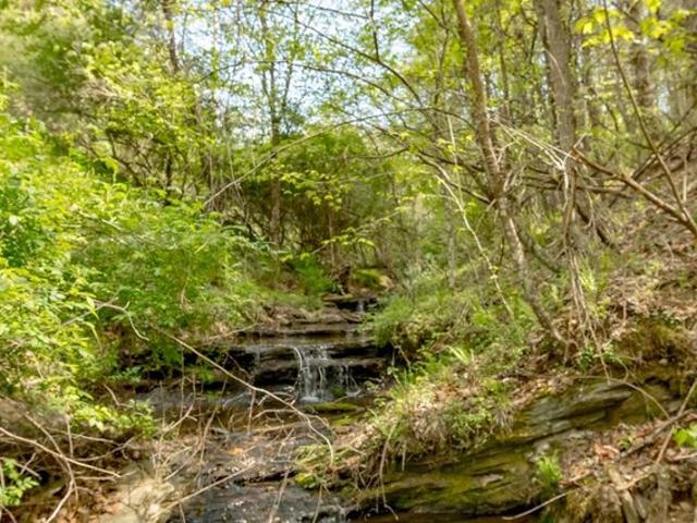 19 Acres Grayson Pkwy Lot 51, Independence, VA 24348