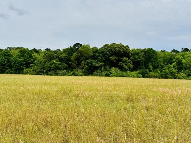 19 Acres Highway 55, Andalusia, AL 36420
