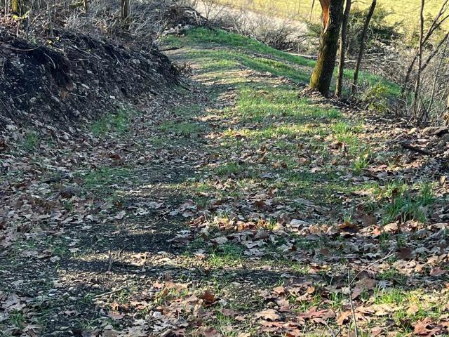 19 acres Old Hwy 61