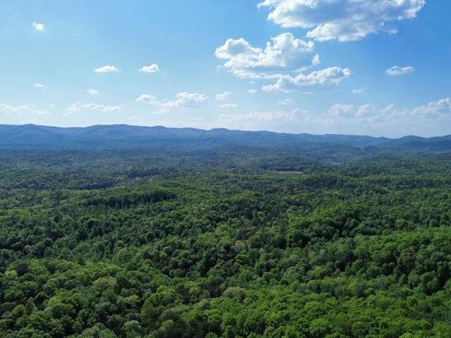 19 Amicalola Drive