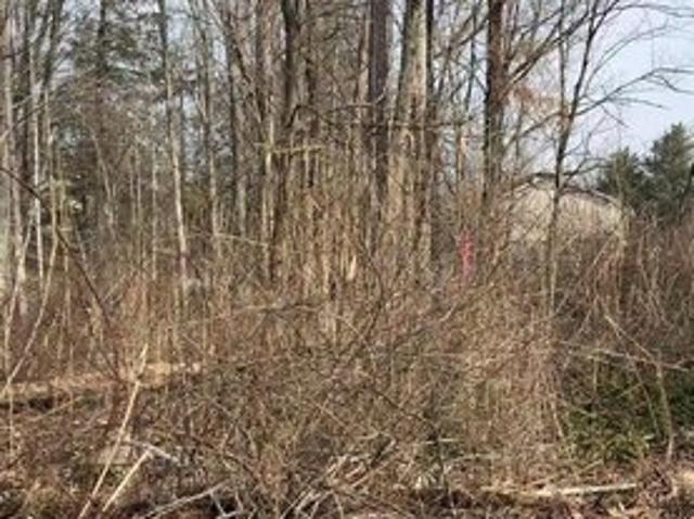 19 and 25 Clearbrook Dr, Mahopac, NY 10541