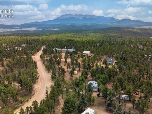 19 Aster Rd, Woodland Park, CO 80863