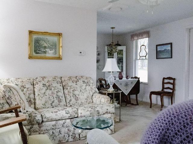 19 Avalon Road