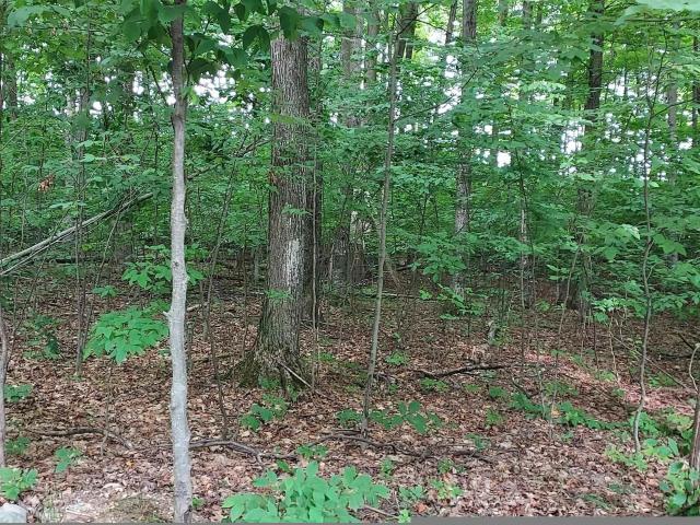 19 Beech Knoll