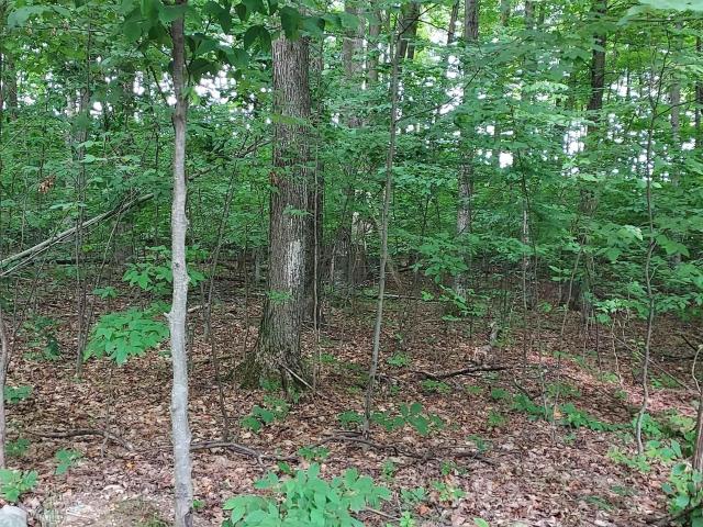 19 Beech Knoll