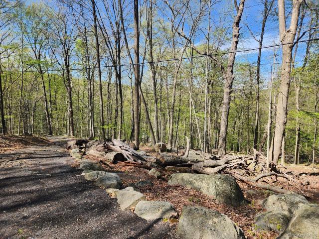 19 Brandt Rd, Hillburn, NY 10931 | MLS #989405