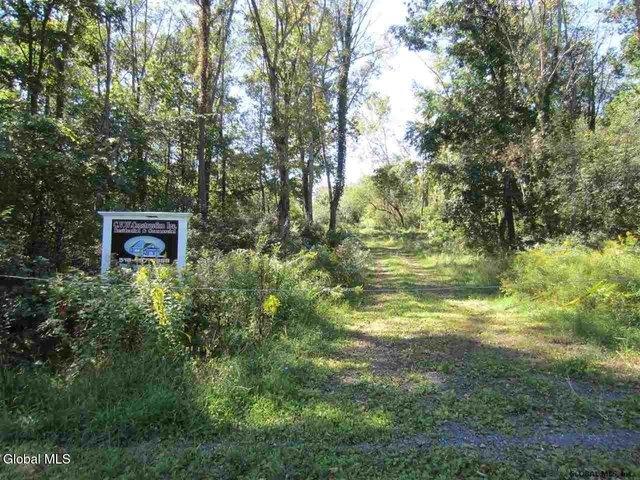 19 Cedar Dr, Selkirk, NY 12158