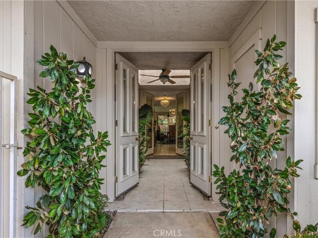 19 Cornell Drive