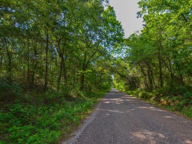19 County Road 4224, Frankston, TX 75763 | MLS #20708